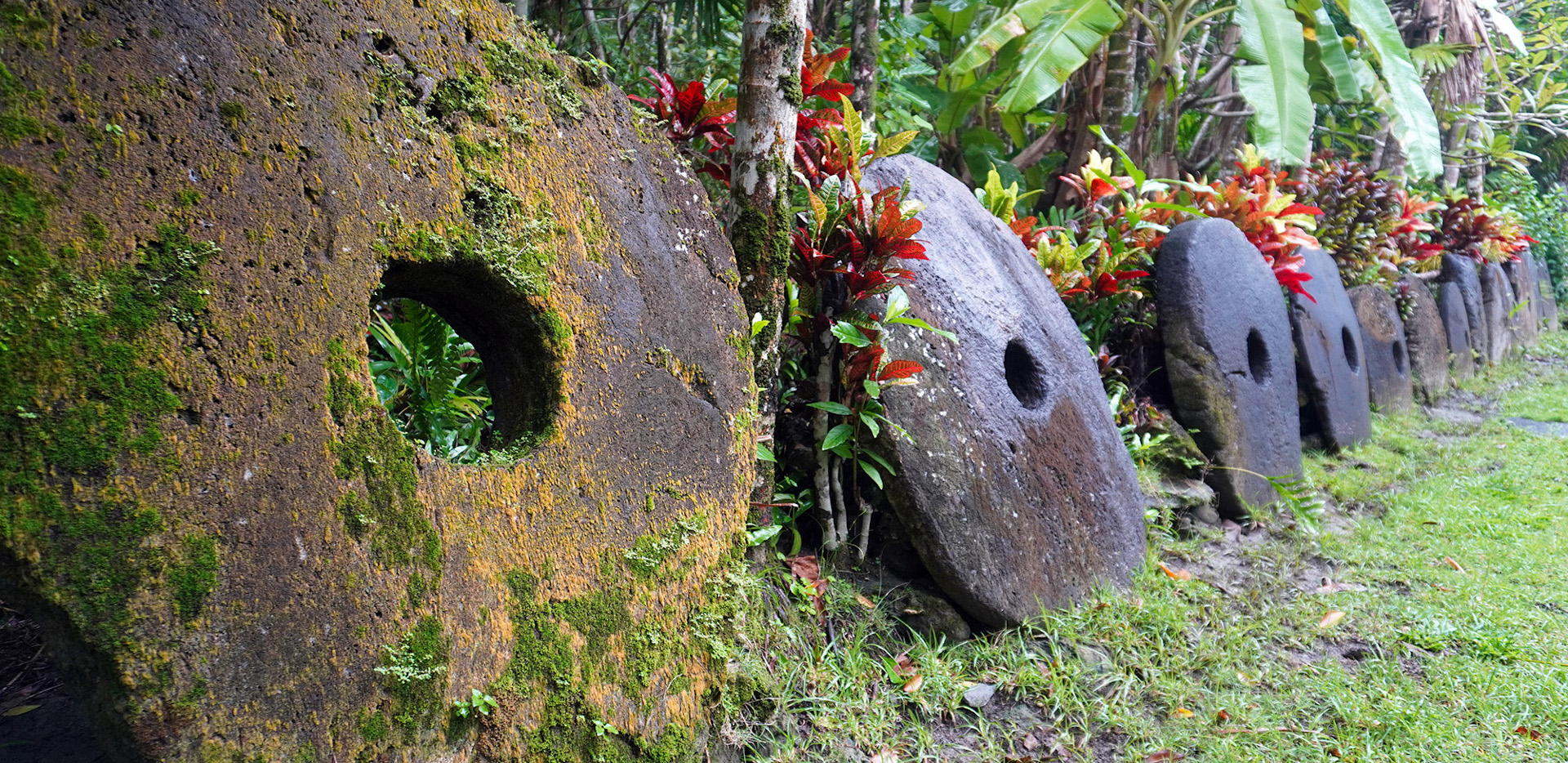 ヤップ・ライ・ストーン・マネー ヤップ文化 伝統 ミクロネシア